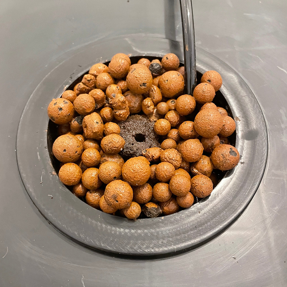 Clay Pebbles for Hydroponic Growing in a Recirculating DWC system ...